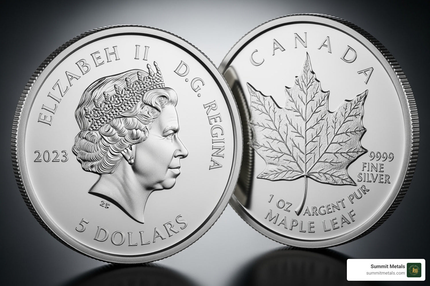 Beyond the Leaf: Your Guide to the Canadian Silver Maple Coin – SM